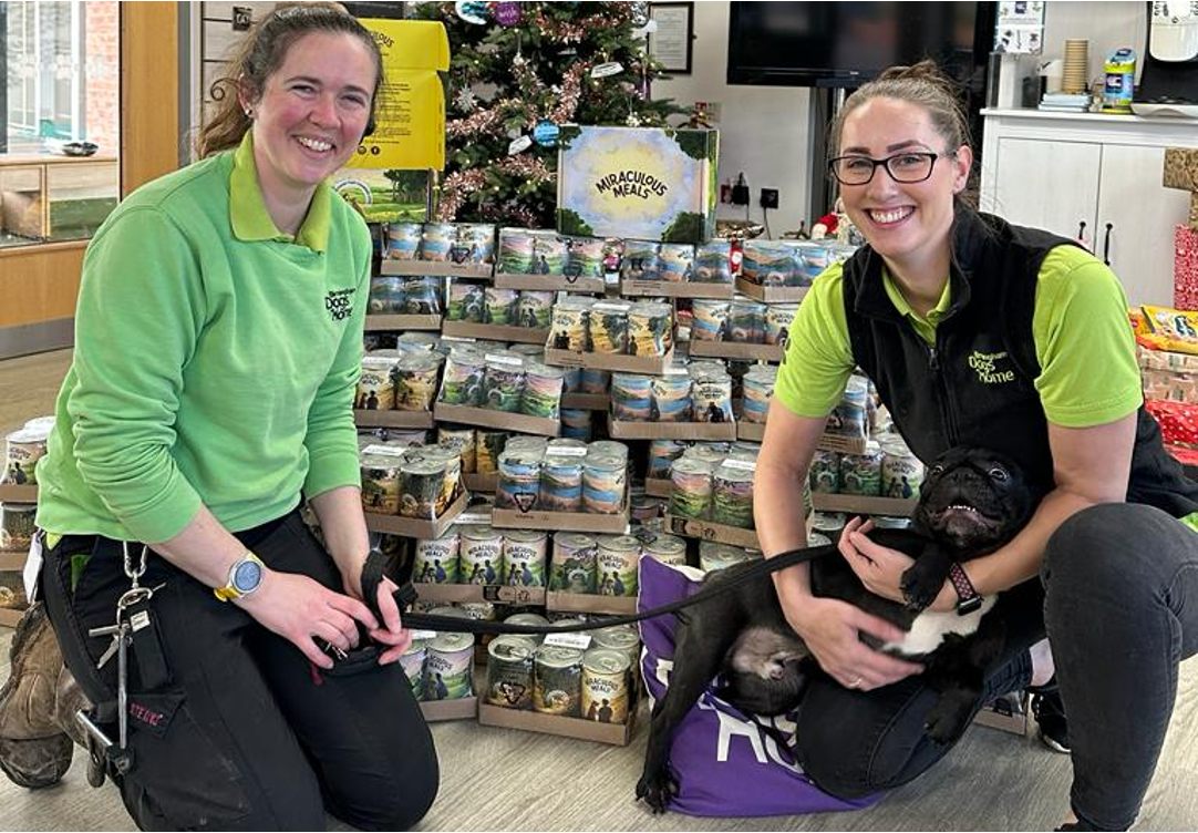 Santa Paws comes to Birmingham Dogs Home – Miraculous Meals