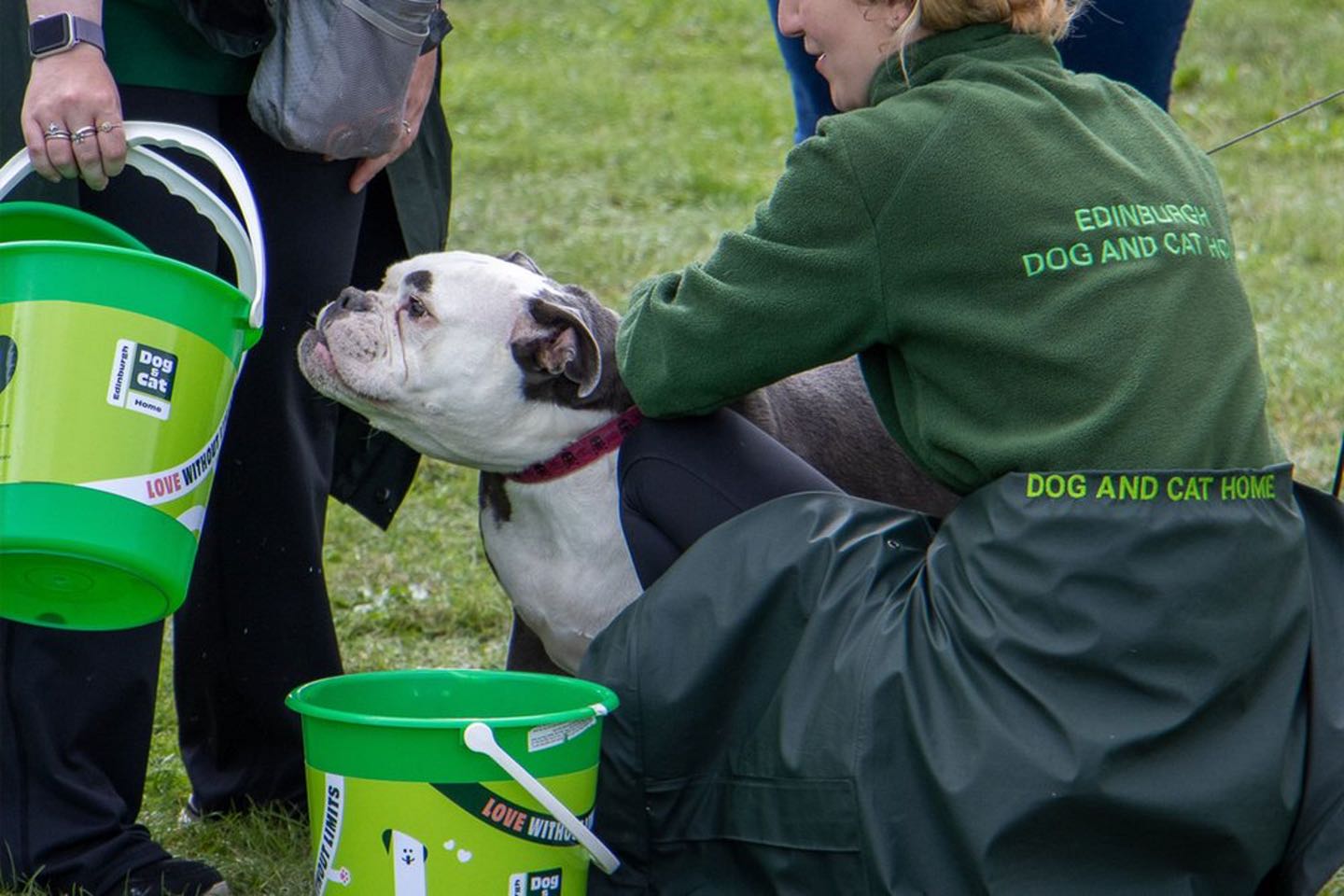 Miraculous Meals | The Dog Food That Changes Lives