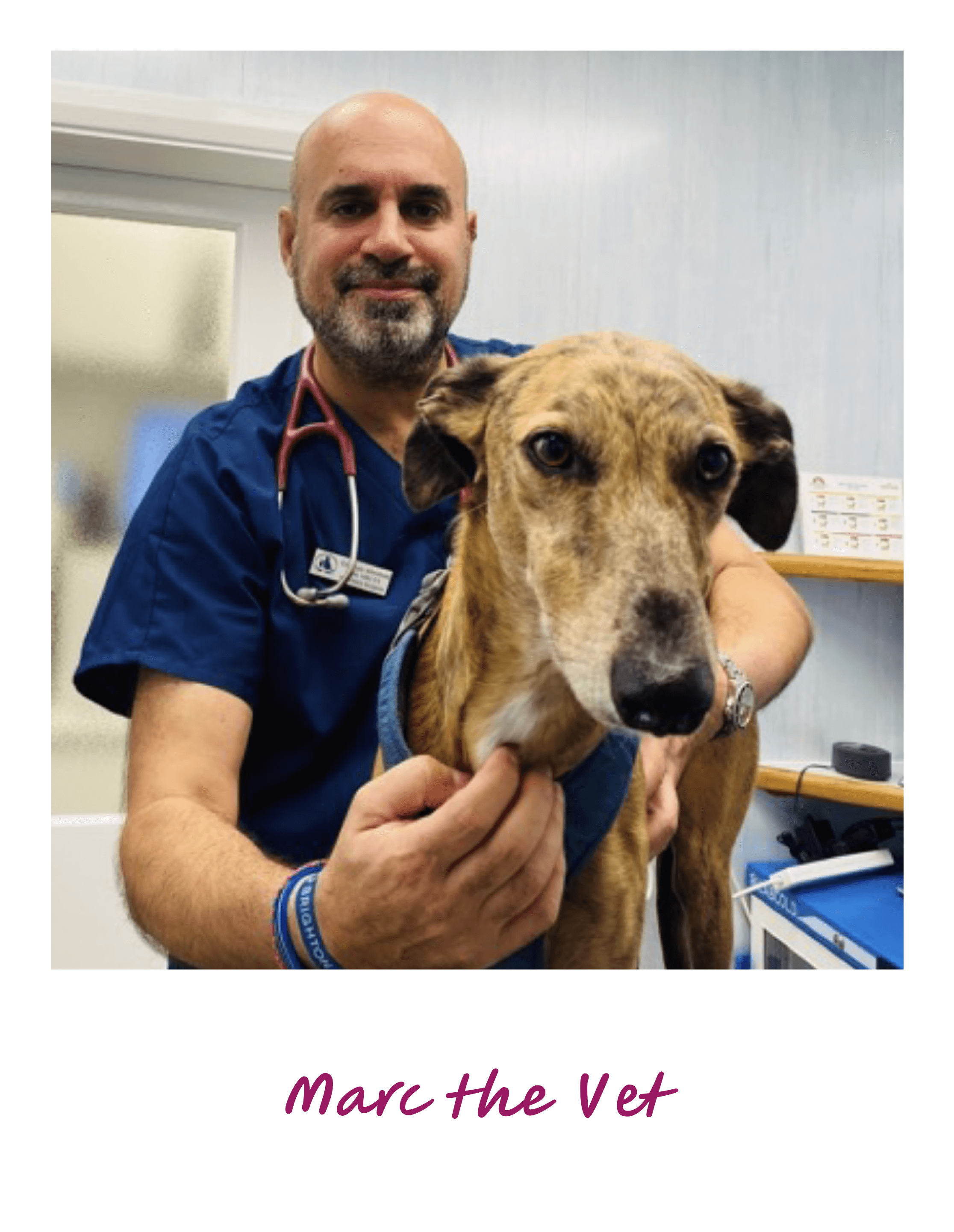 Miraculous Meals | The Dog Food That Changes Lives