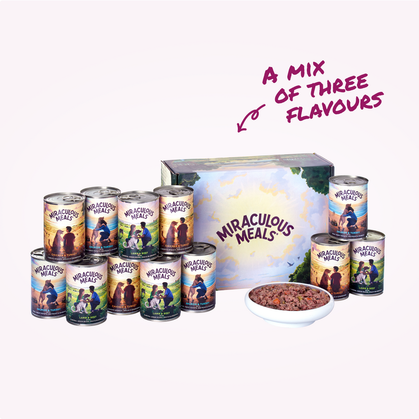 Variety Box – Miraculous Meals